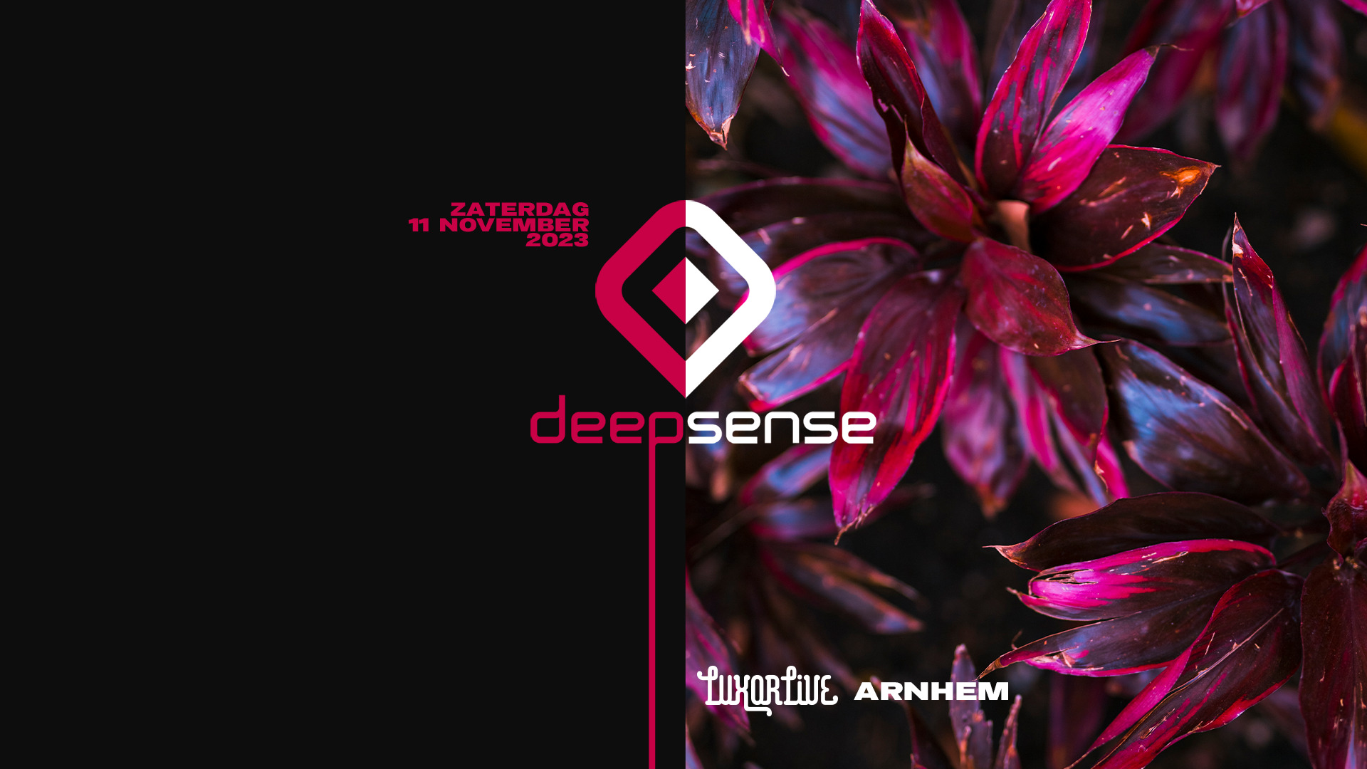 Deepsense ft. Benny Rodrigues + Joëlla Jackson - Luxor Live